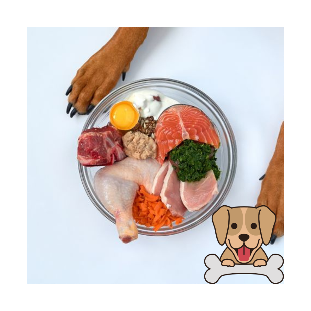 Guia completa de dieta BARF para perros 🐾